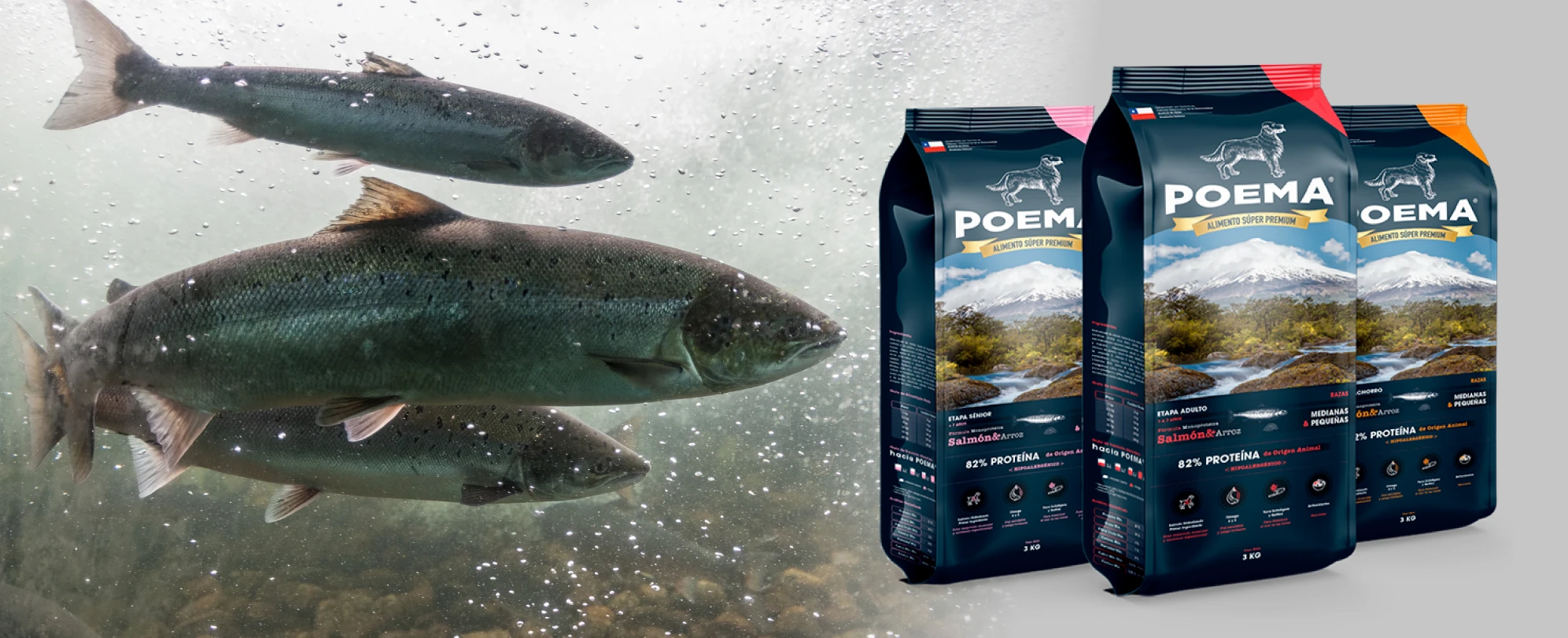 Salmón hidrolizado: Beneficios de un superalimento - POEMA® Para Mascotas